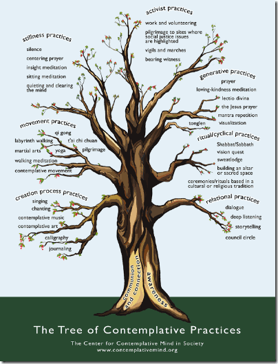Learning To Stay: Tree of Contemplative Practices